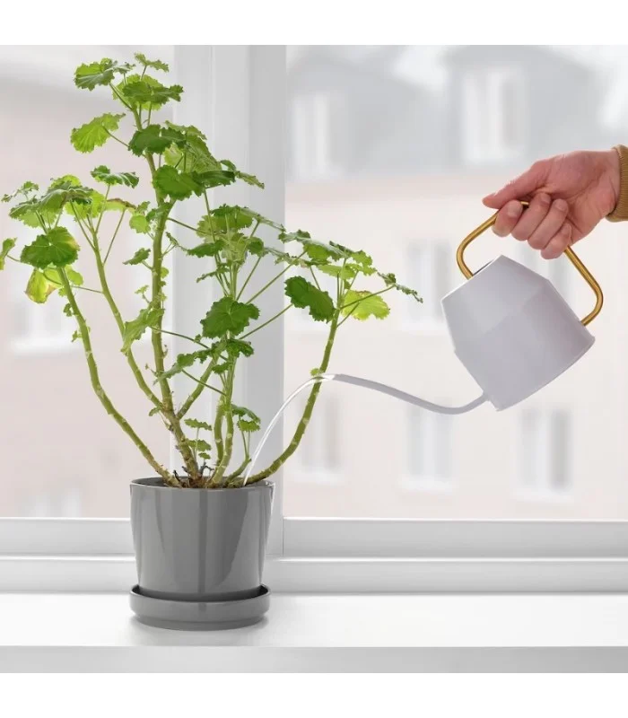 آبپاش خاکستری طلایی ایکیا VATTENKRASSE